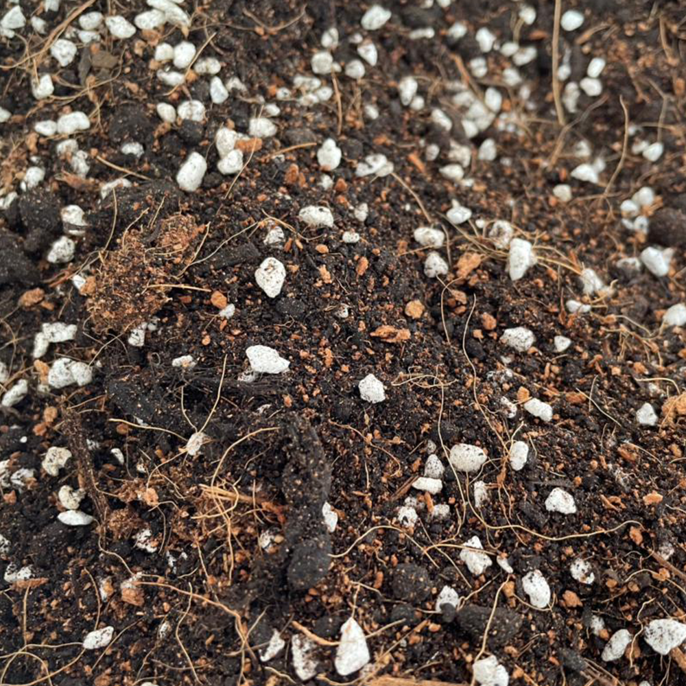 Lightweight Indoor Mix – GroundControl