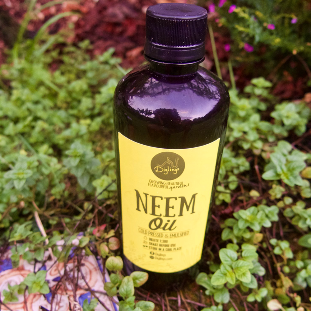 Diglings Neem Oil (Cold Pressed) – GroundControl