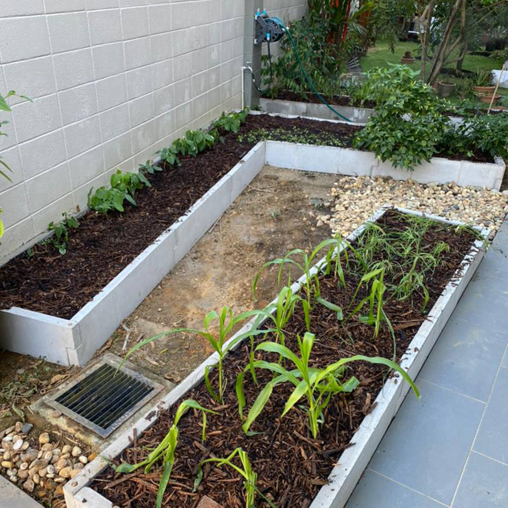 Grow Slabs – GroundControl